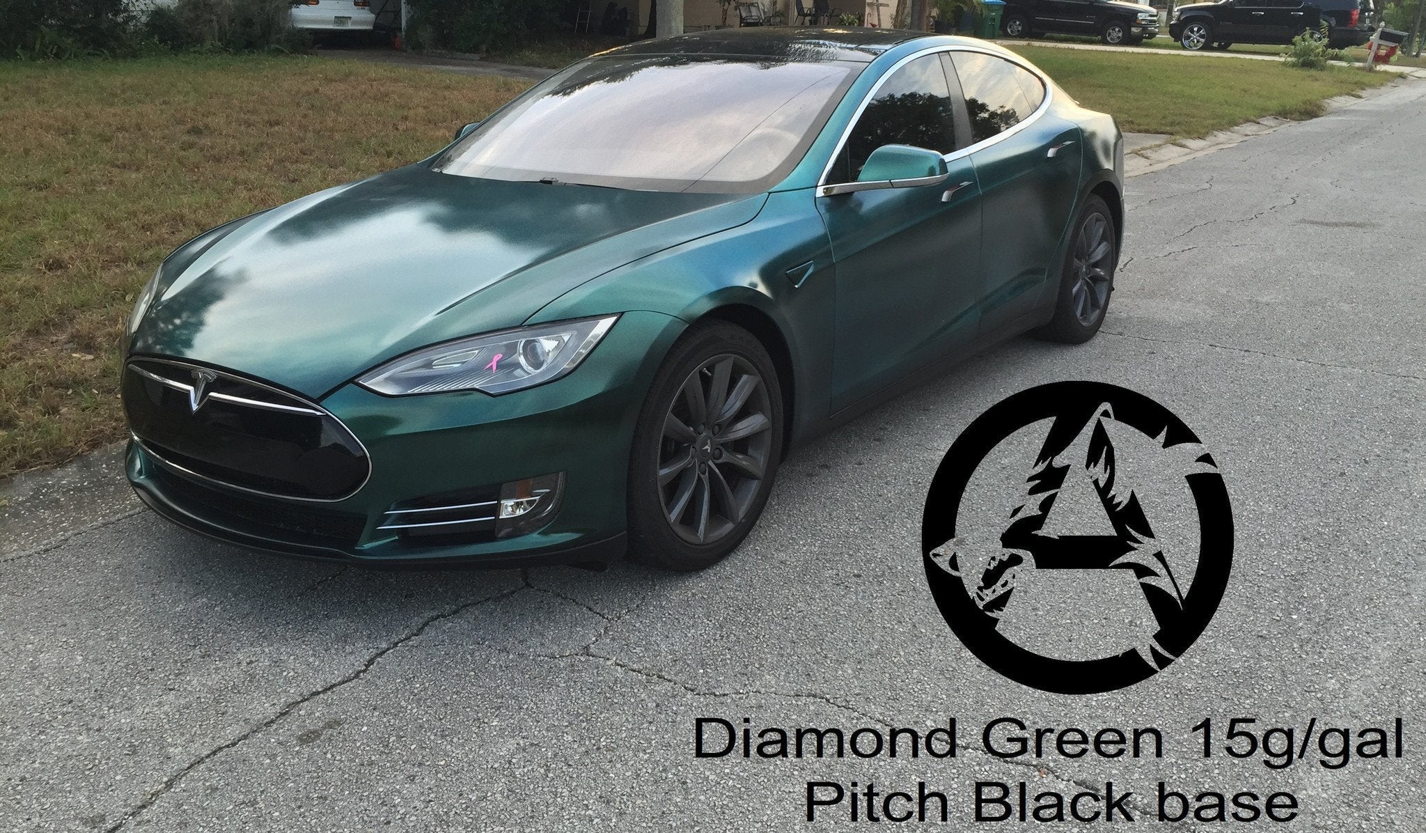Diamond Green Pearl Project Photos | Alpha Pigments | Autoflex